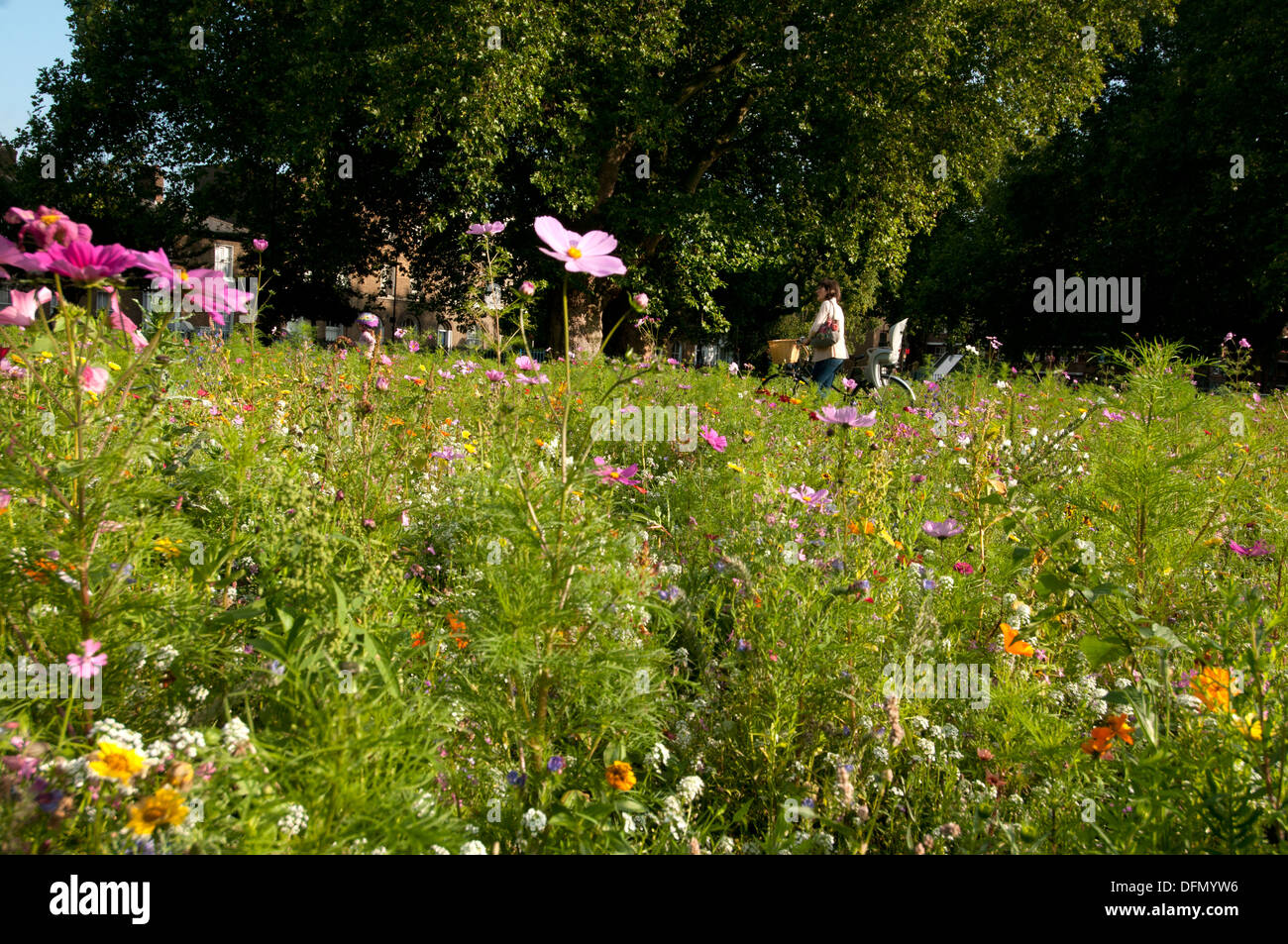 London wildflowers hi-res stock photography and images - Alamy