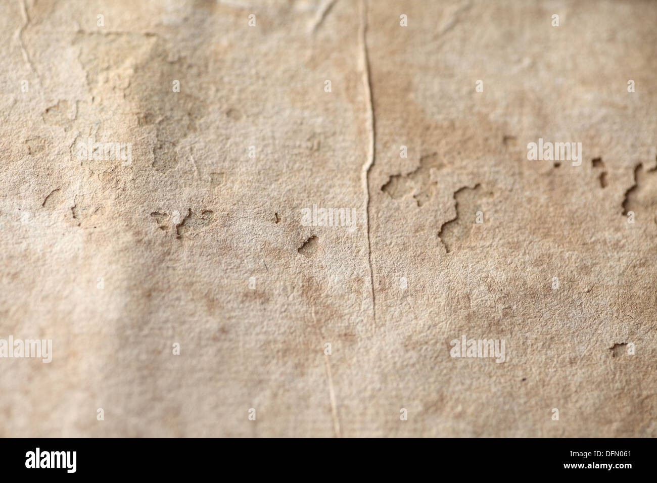 close up view of a damaged page Stock Photo - Alamy