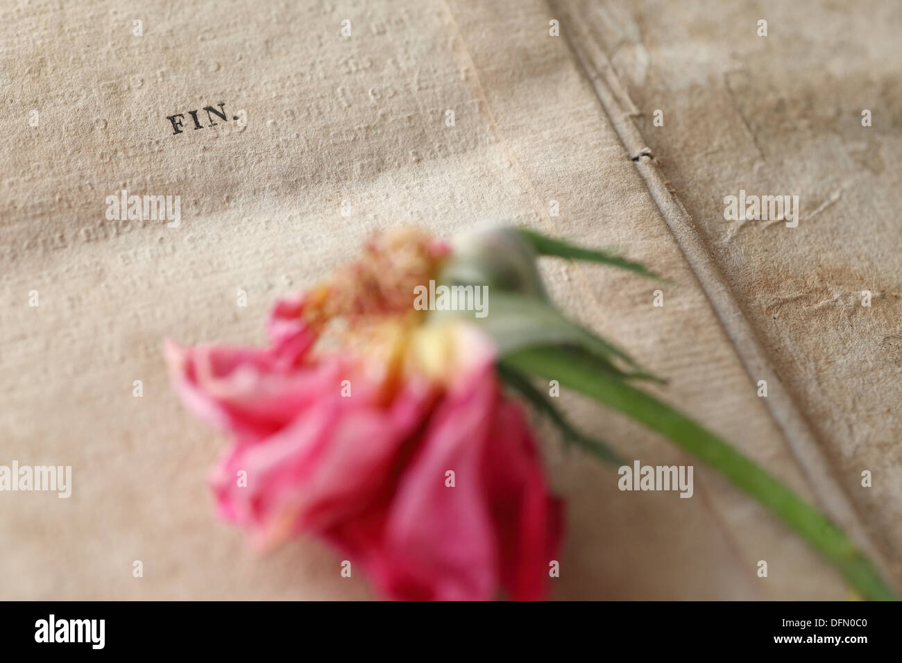 Last page of book hi-res stock photography and images - Alamy