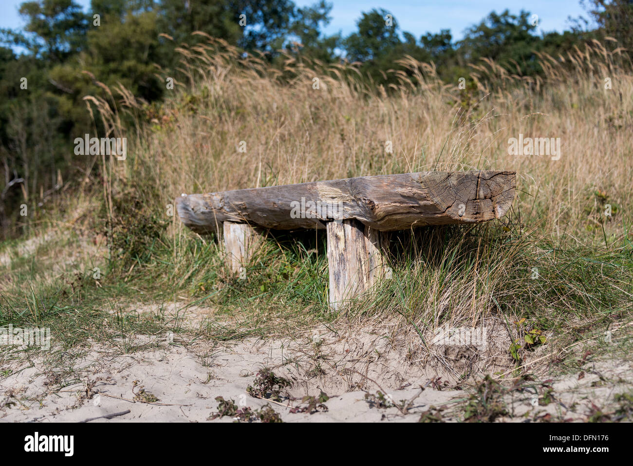 old ancient bench in the forst to sit and rest Stock Photo - Alamy