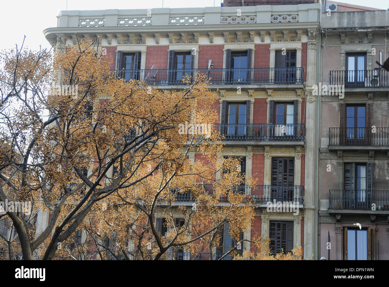 El raval neighborhood hi-res stock photography and images - Alamy