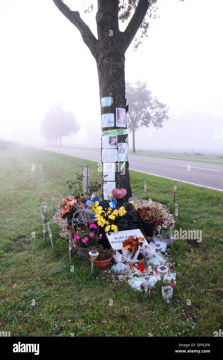 roadside memorial after fatal traffic accident Netherlands Stock Photo ...