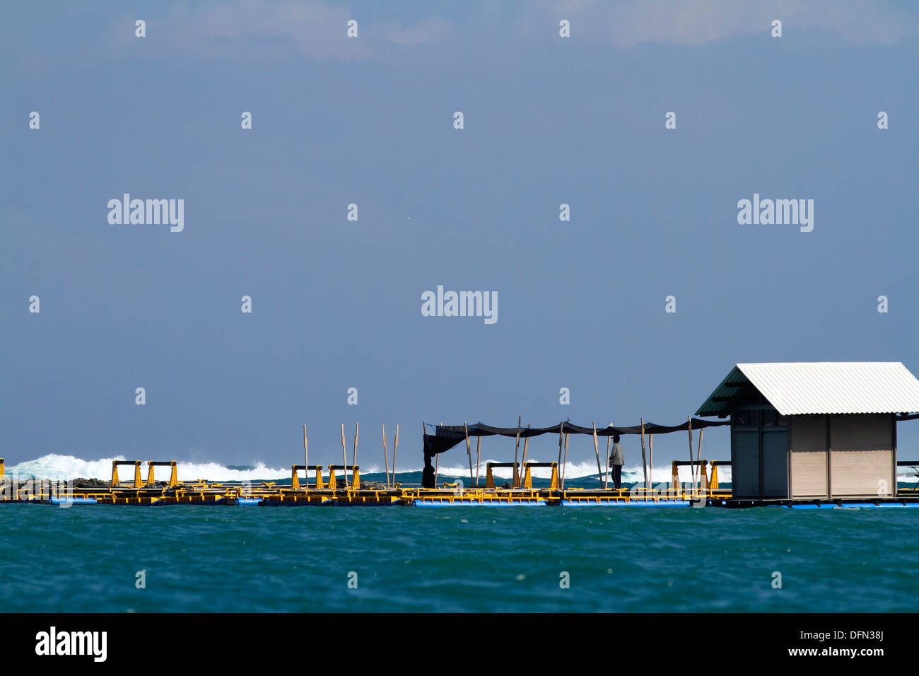 Indonesia shrimp farm hi-res stock photography and images - Alamy