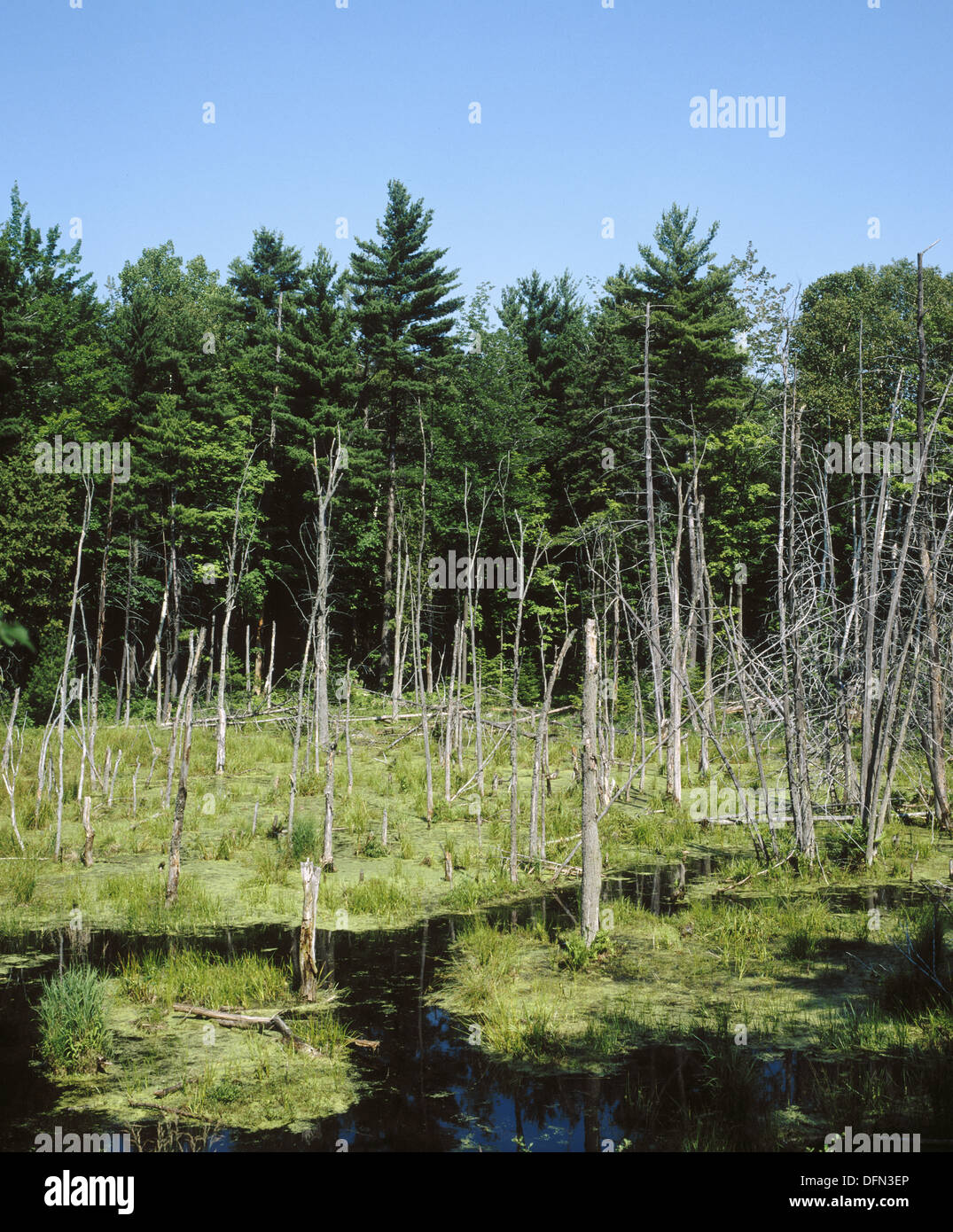 Outaouais hi-res stock photography and images - Alamy