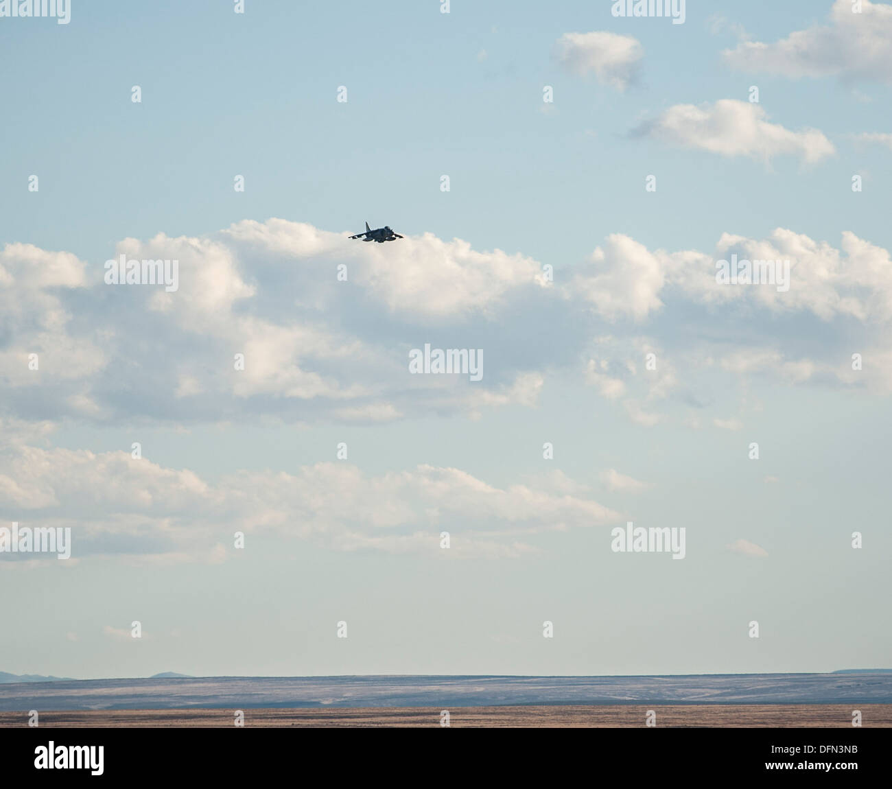 U s navy av8 b harrier buzzes hi-res stock photography and images - Alamy