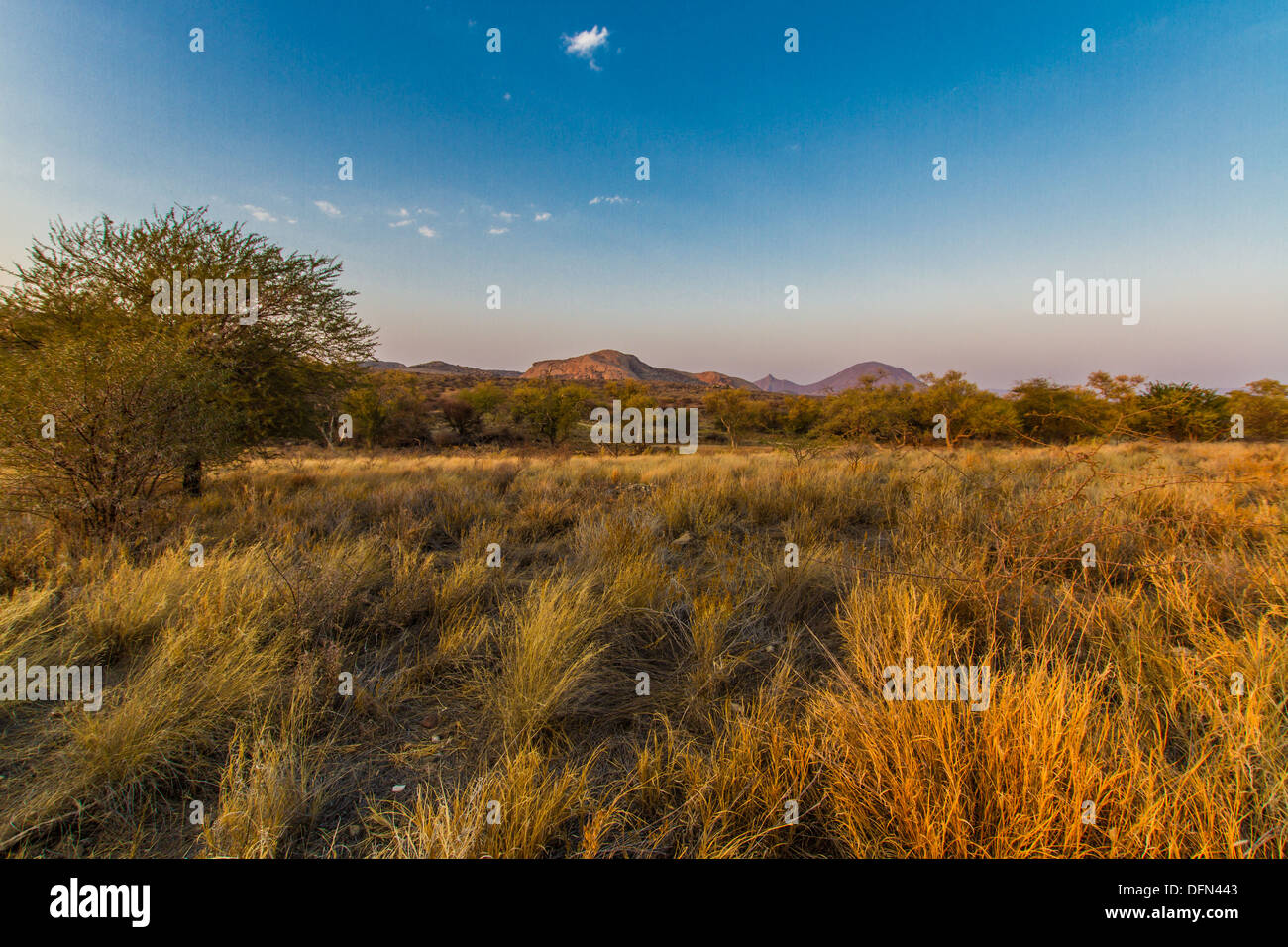 Desert in Namibia Stock Photo - Alamy