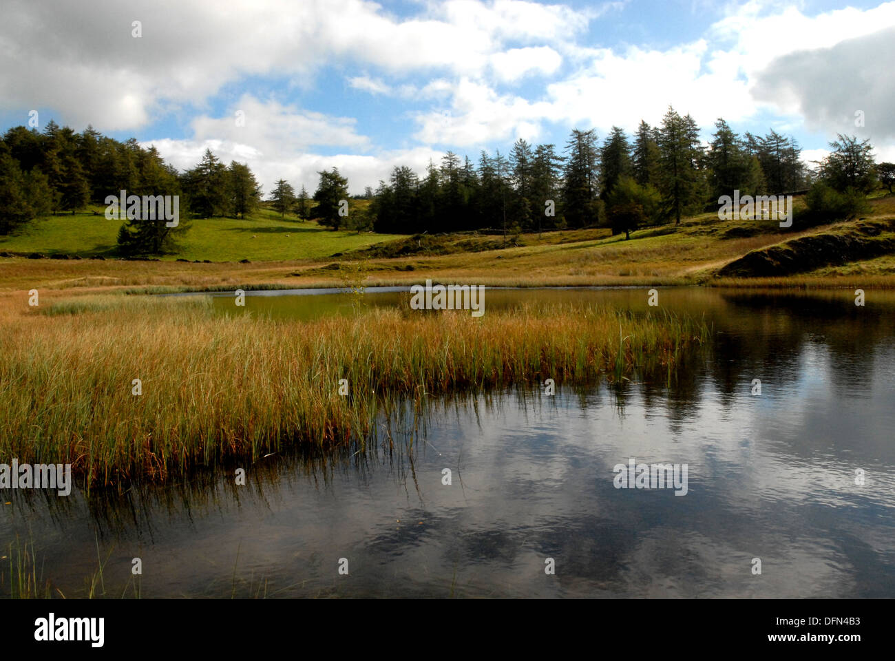 Lake District Landscapes Stock Photo - Alamy