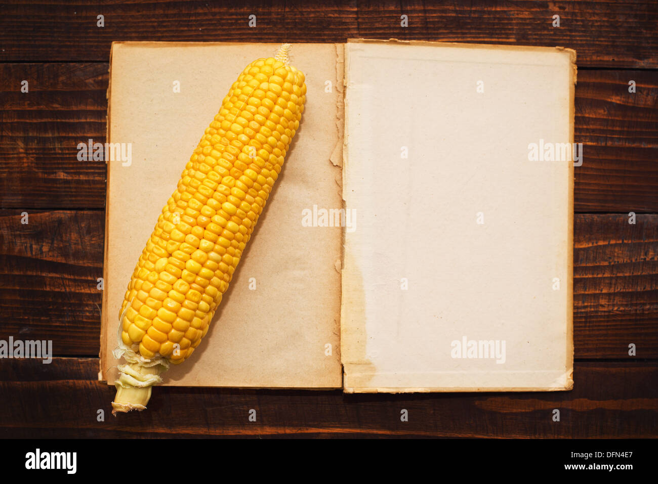 Ear of corn and open book on wooden background. Autumn harvesting ...