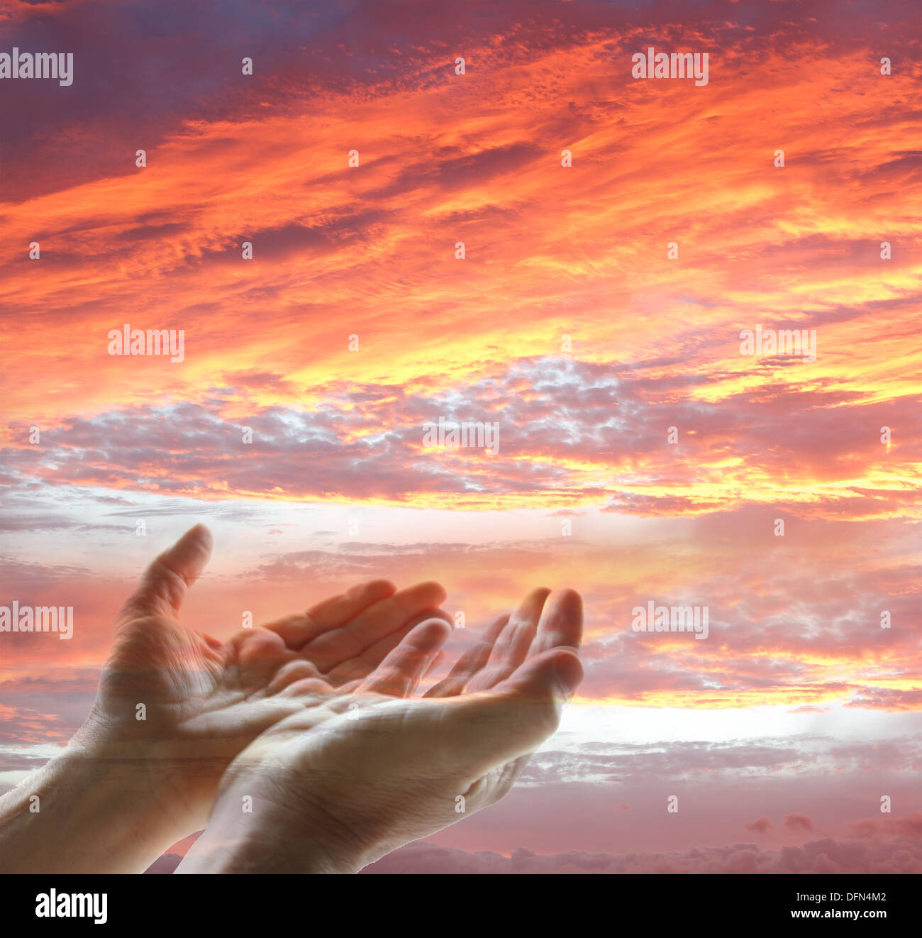 Hands reaching for the sky Stock Photo - Alamy