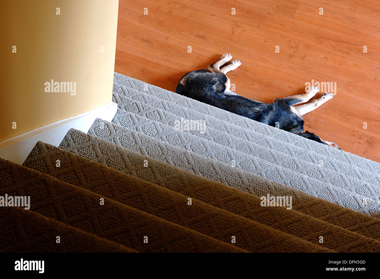 Stair bottom hi-res stock photography and images - Alamy