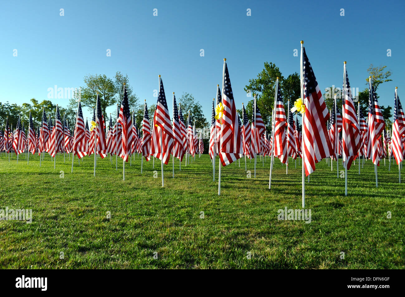 American Flags all in a row Stock Photo - Alamy