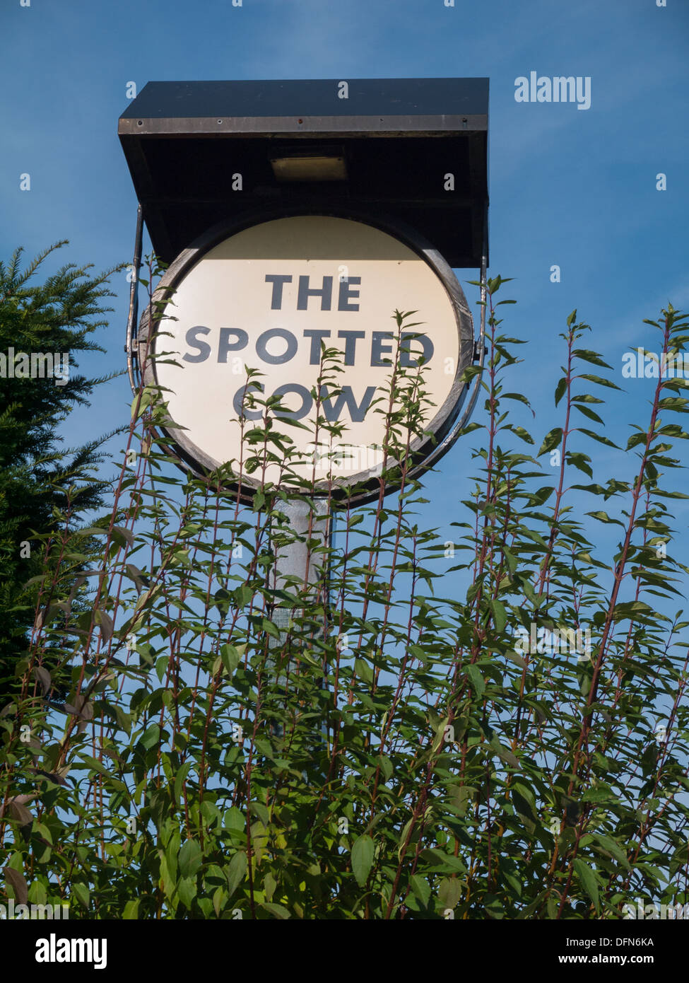 The spotted cow pub sign hi-res stock photography and images - Alamy