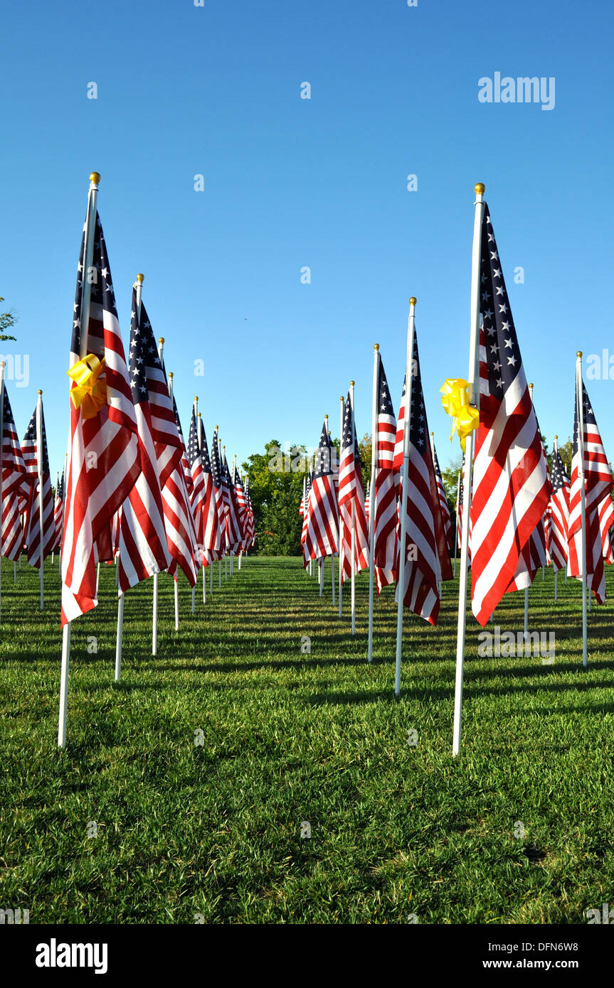 American Flags all in a row Stock Photo - Alamy