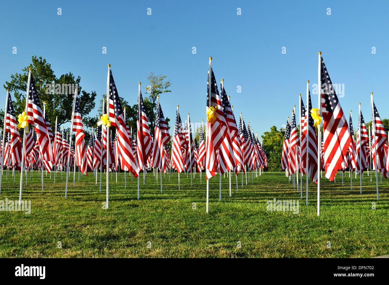 American Flags all in a row Stock Photo - Alamy