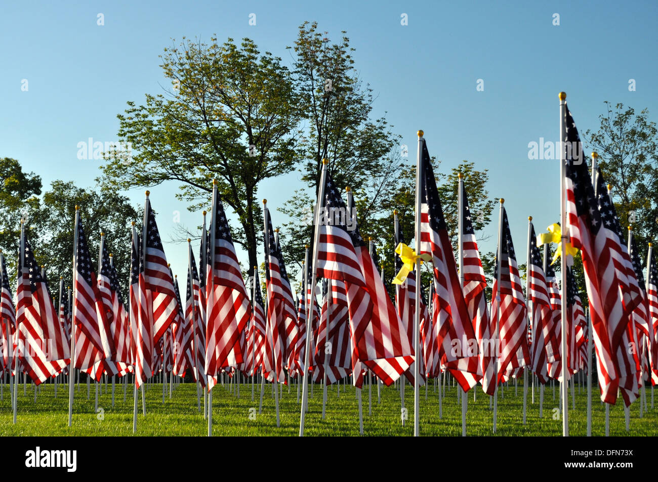 American Flags all in a row Stock Photo - Alamy