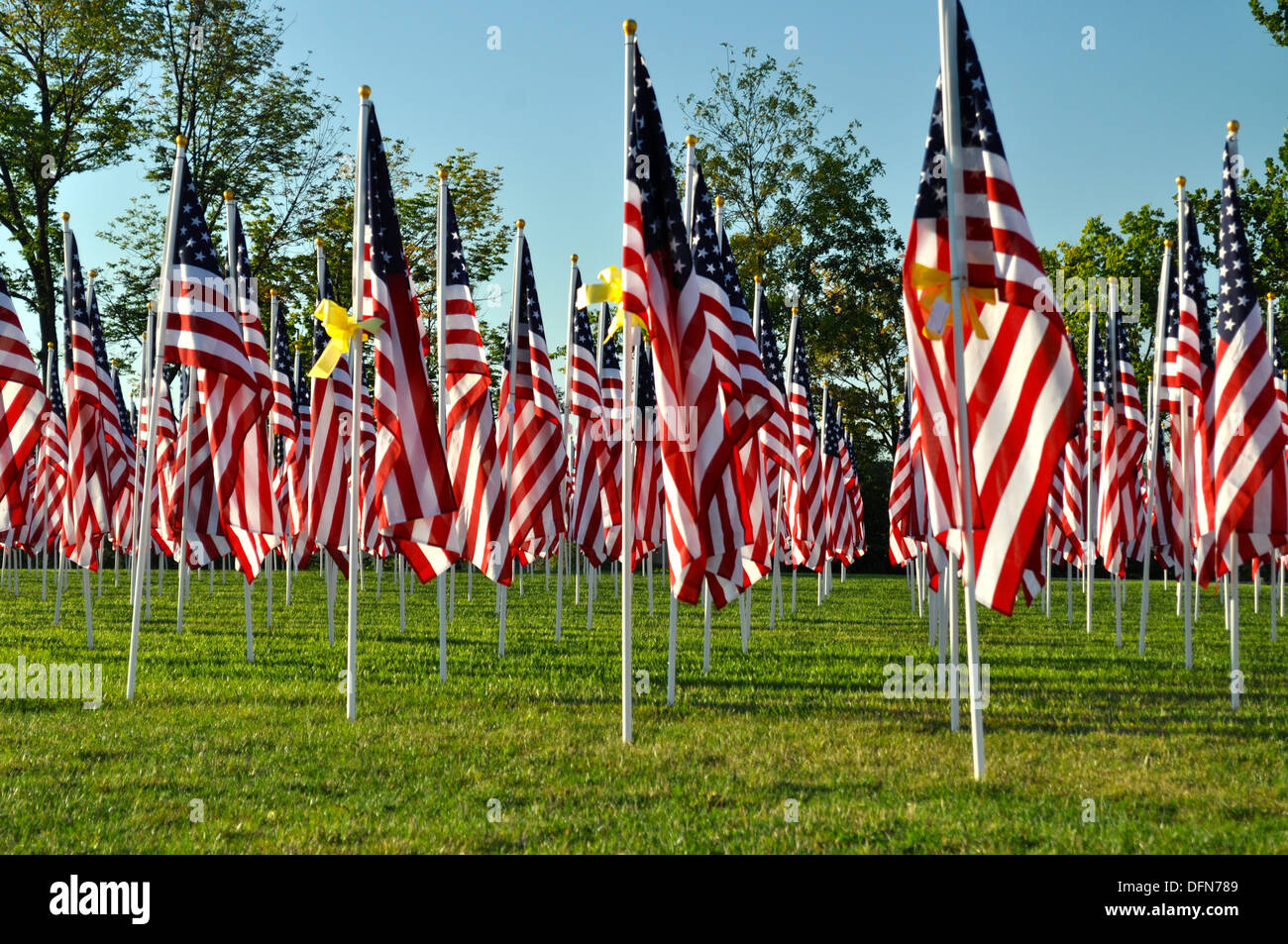 American Flags all in a row Stock Photo - Alamy