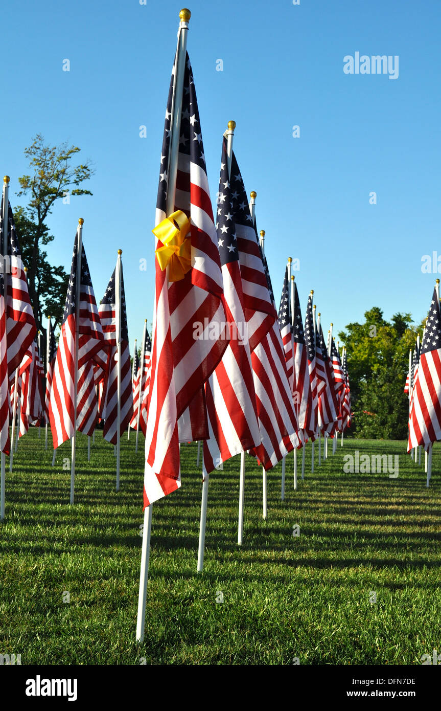 American Flags all in a row Stock Photo - Alamy