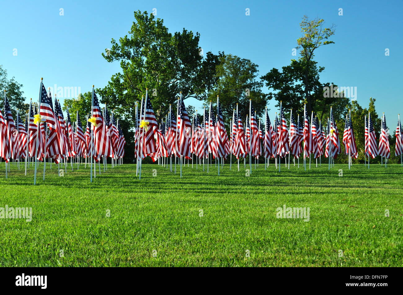American Flags all in a row Stock Photo - Alamy