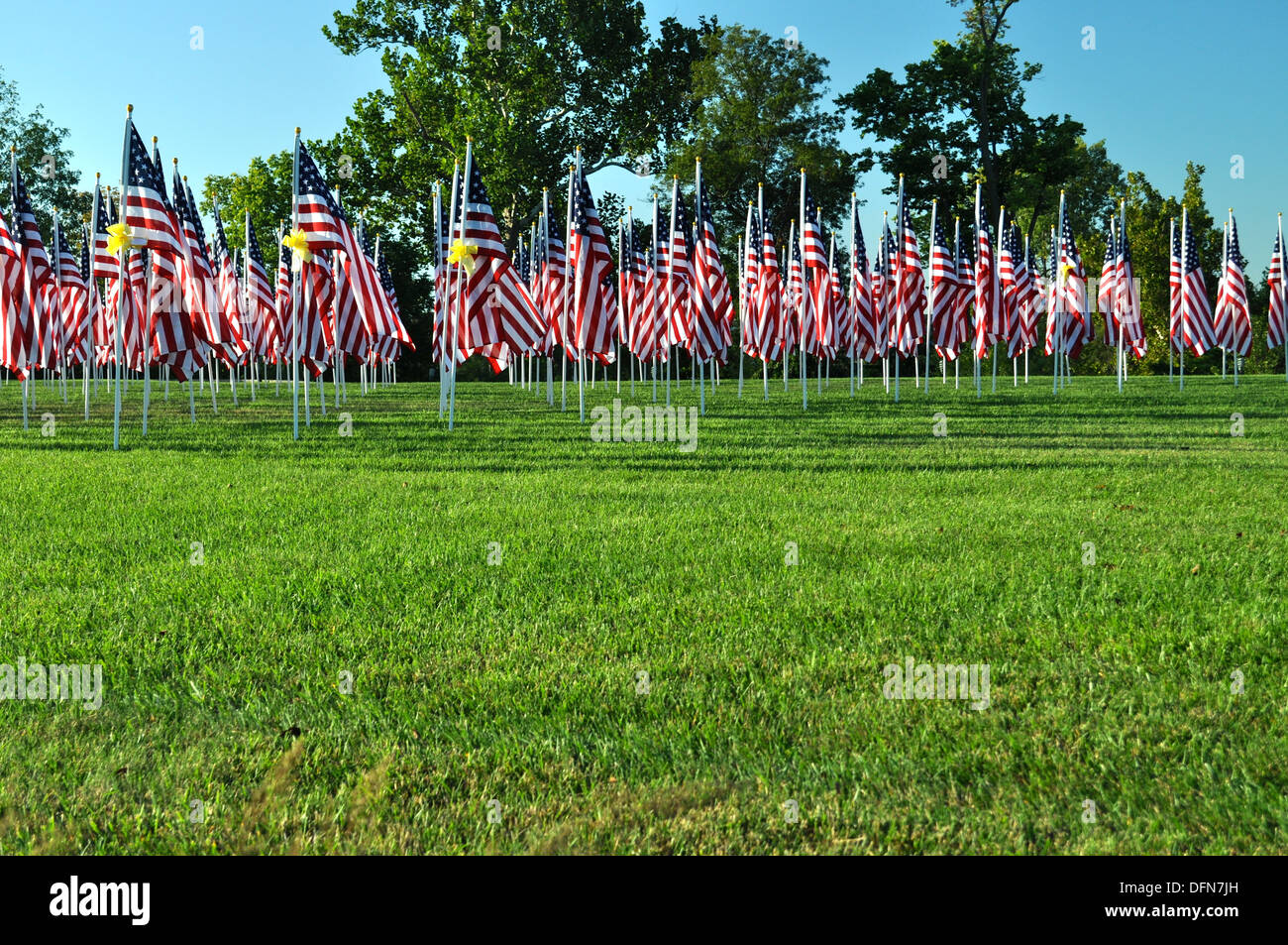 American Flags all in a row Stock Photo - Alamy