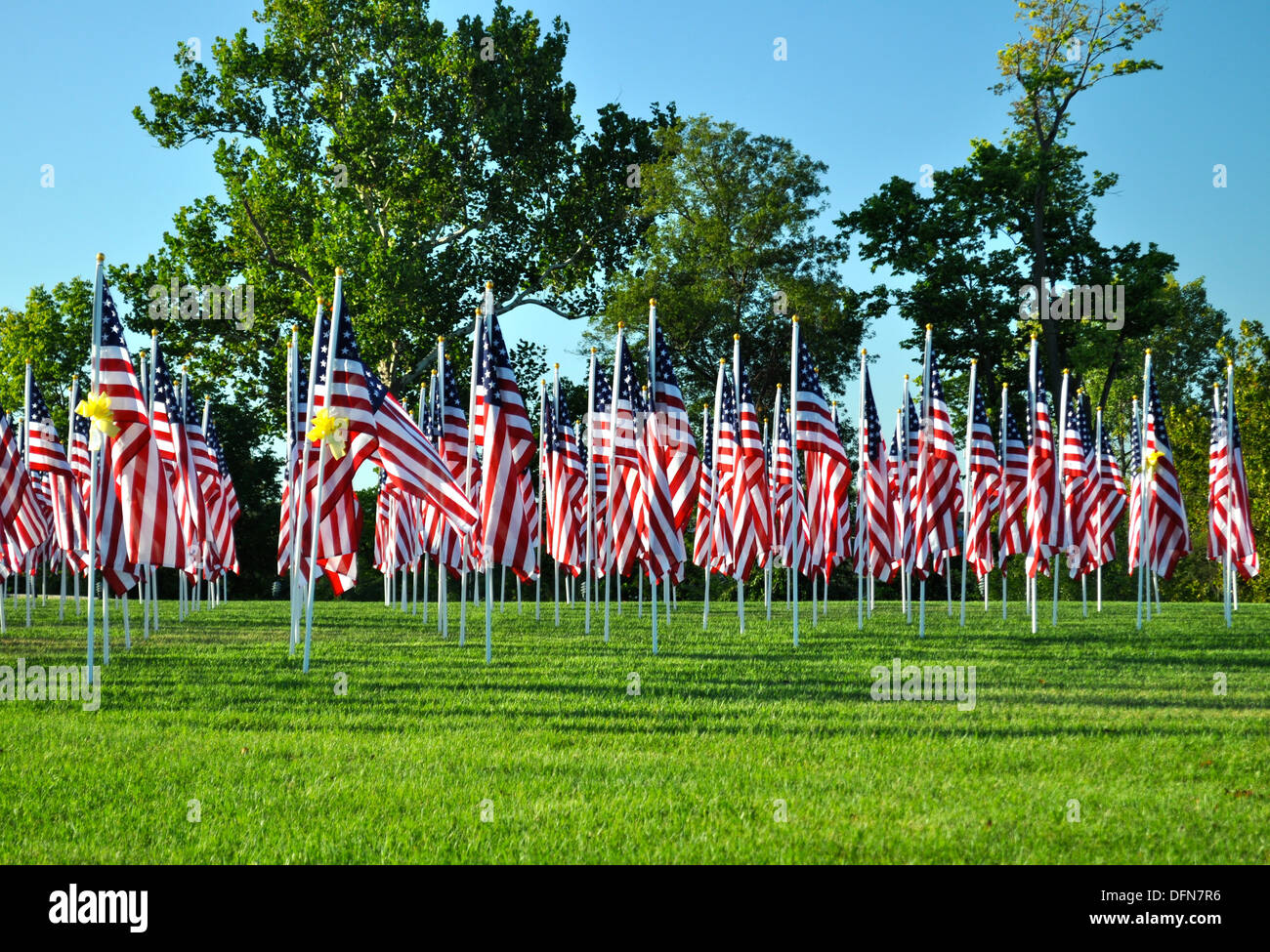 American Flags all in a row Stock Photo - Alamy