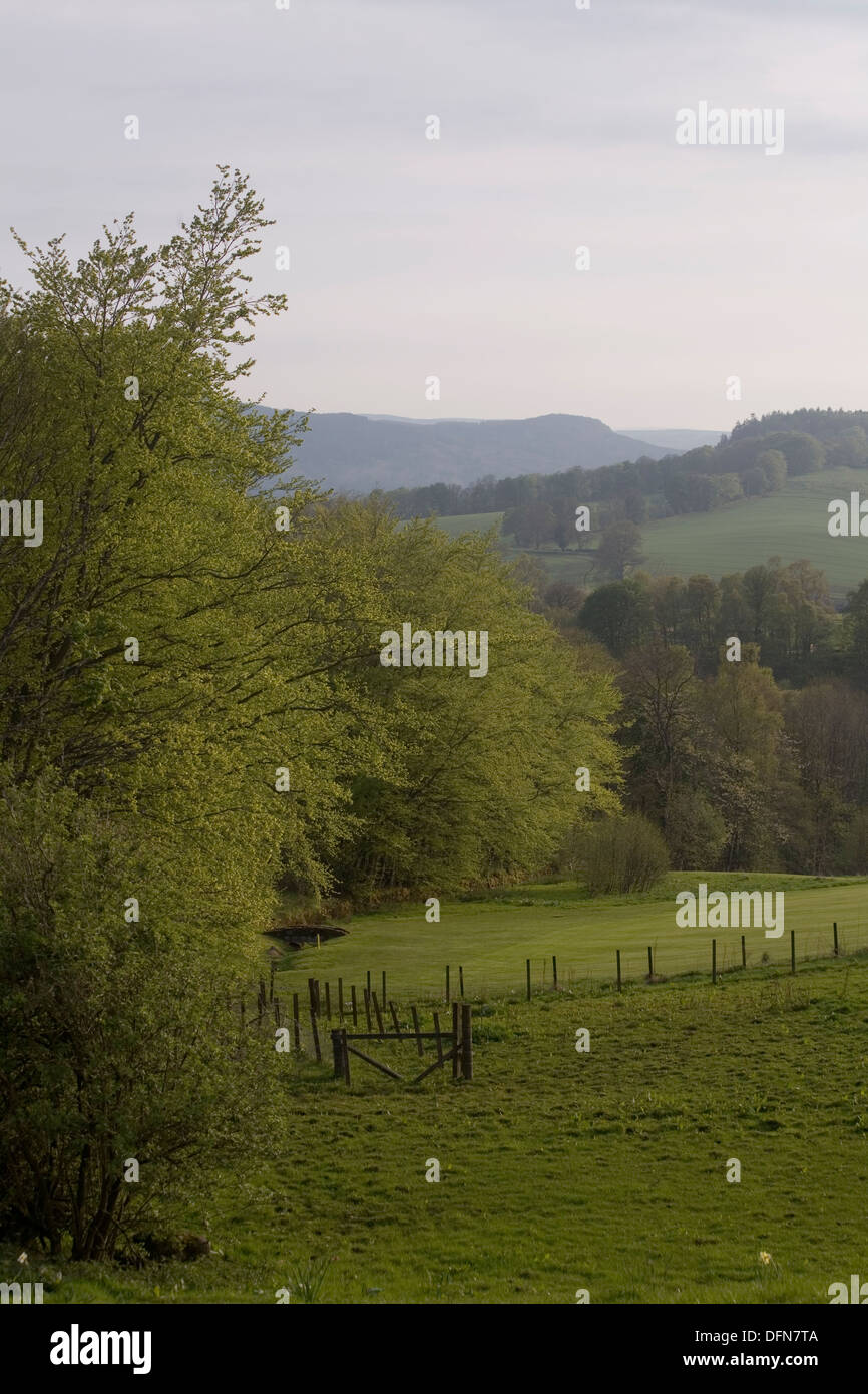 Late spring evening viewed toward gentle rolling pasture Crieff ...