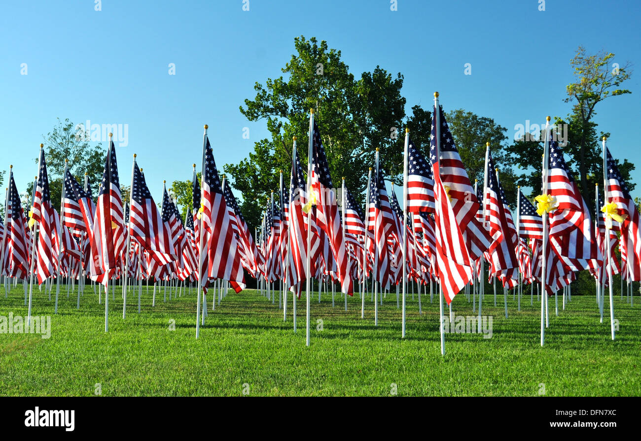 American Flags all in a row Stock Photo - Alamy