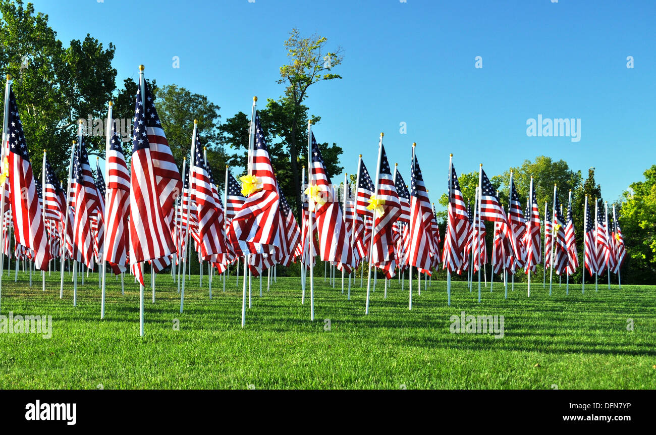 American Flags all in a row Stock Photo - Alamy