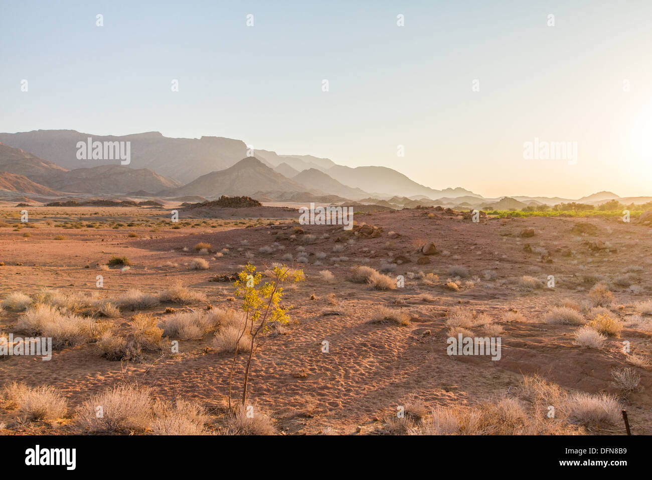 Desert in Namibia Stock Photo - Alamy