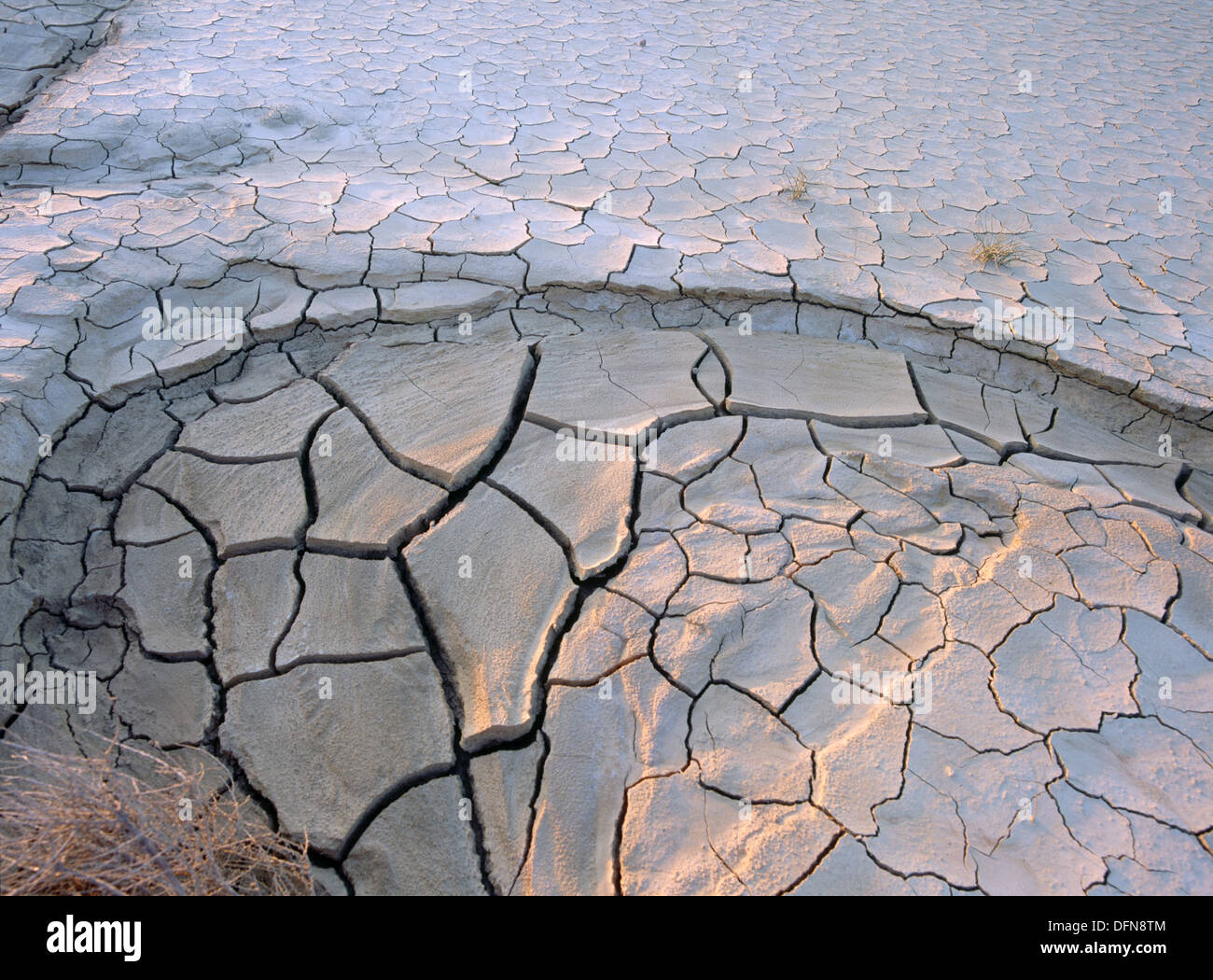 Clay creviced soils in continental desert. Bardenas reales de Navarra ...