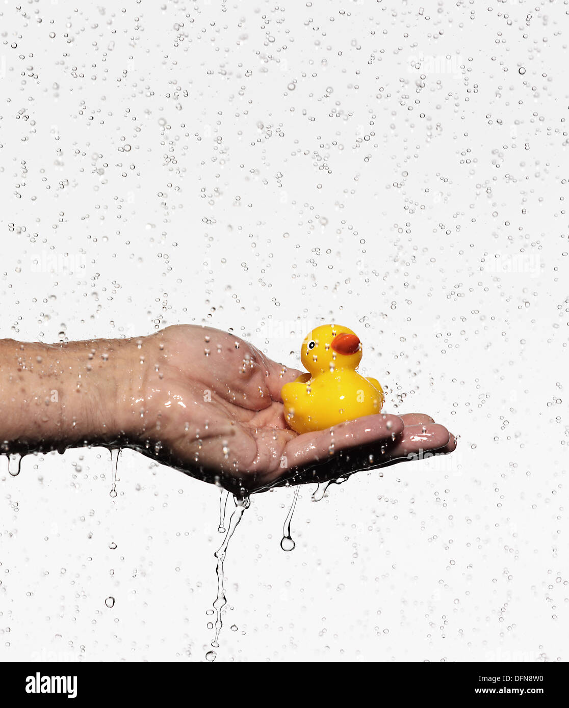 Hand holding rubber duck hi-res stock photography and images - Alamy