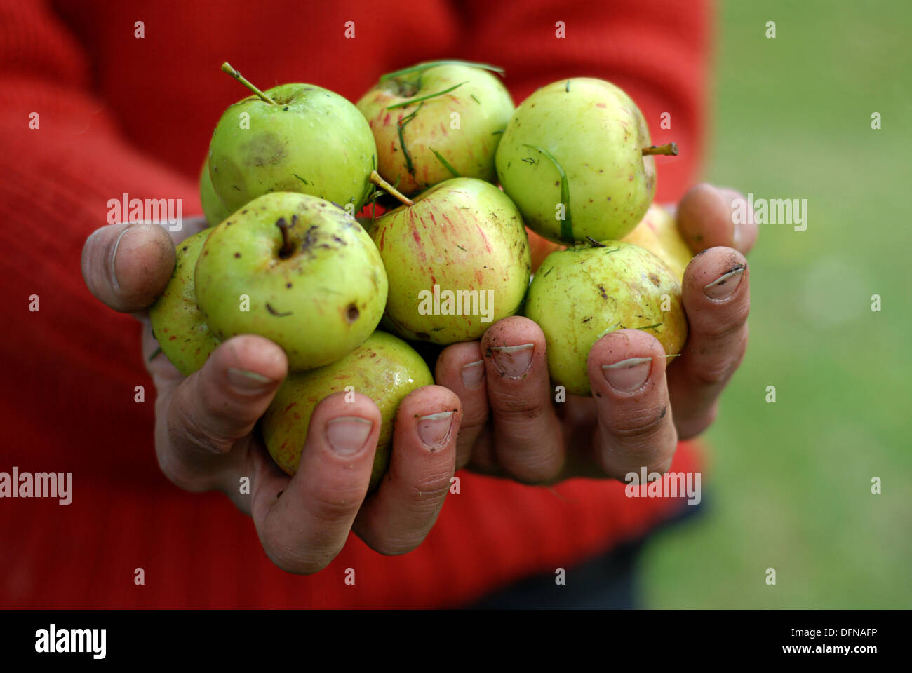 Held in hands hi-res stock photography and images - Alamy