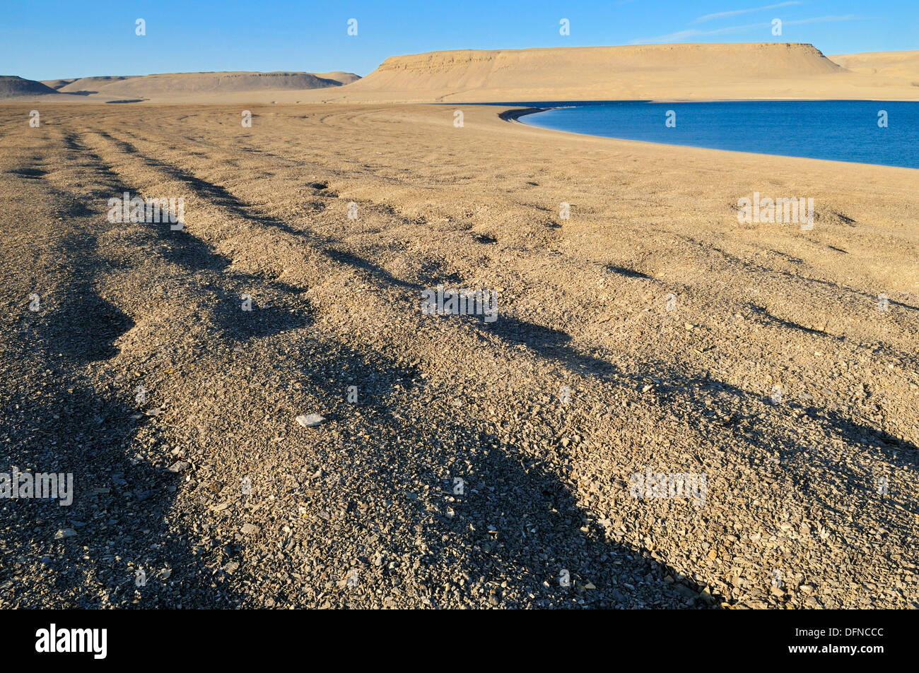 Devon island desert hi-res stock photography and images - Alamy