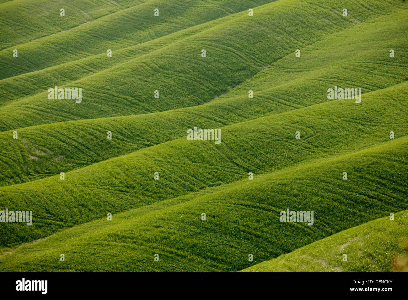Colli Senesi High Resolution Stock Photography and Images - Alamy