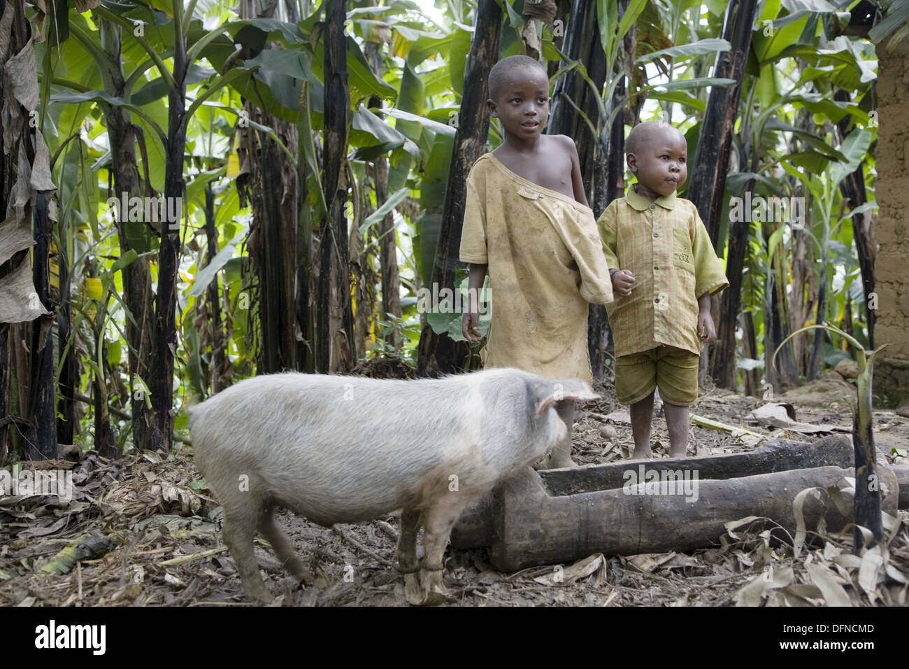 Masango hi-res stock photography and images - Alamy