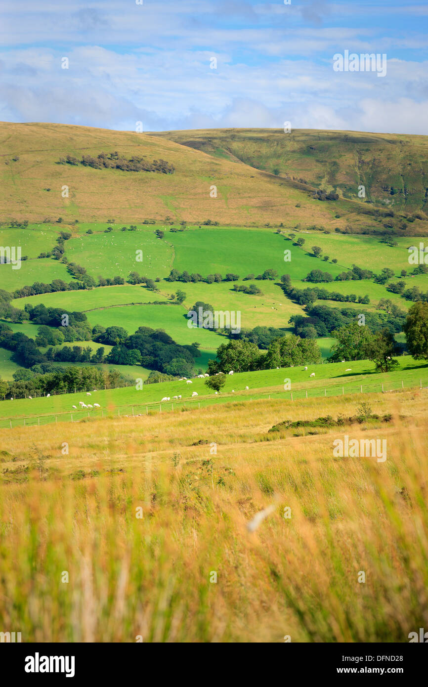 Sennybridge the brecon beacons hi-res stock photography and images - Alamy