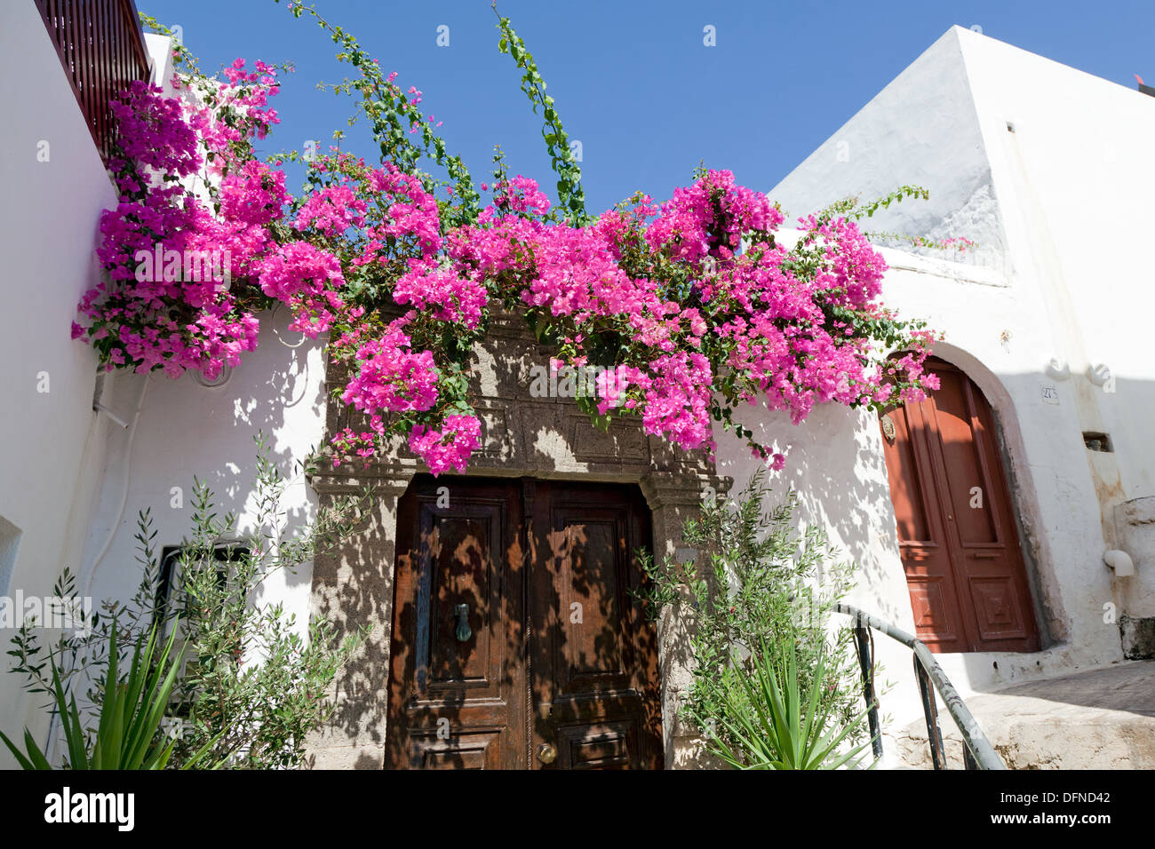 Rhodes Flowers High Resolution Stock Photography and Images - Alamy