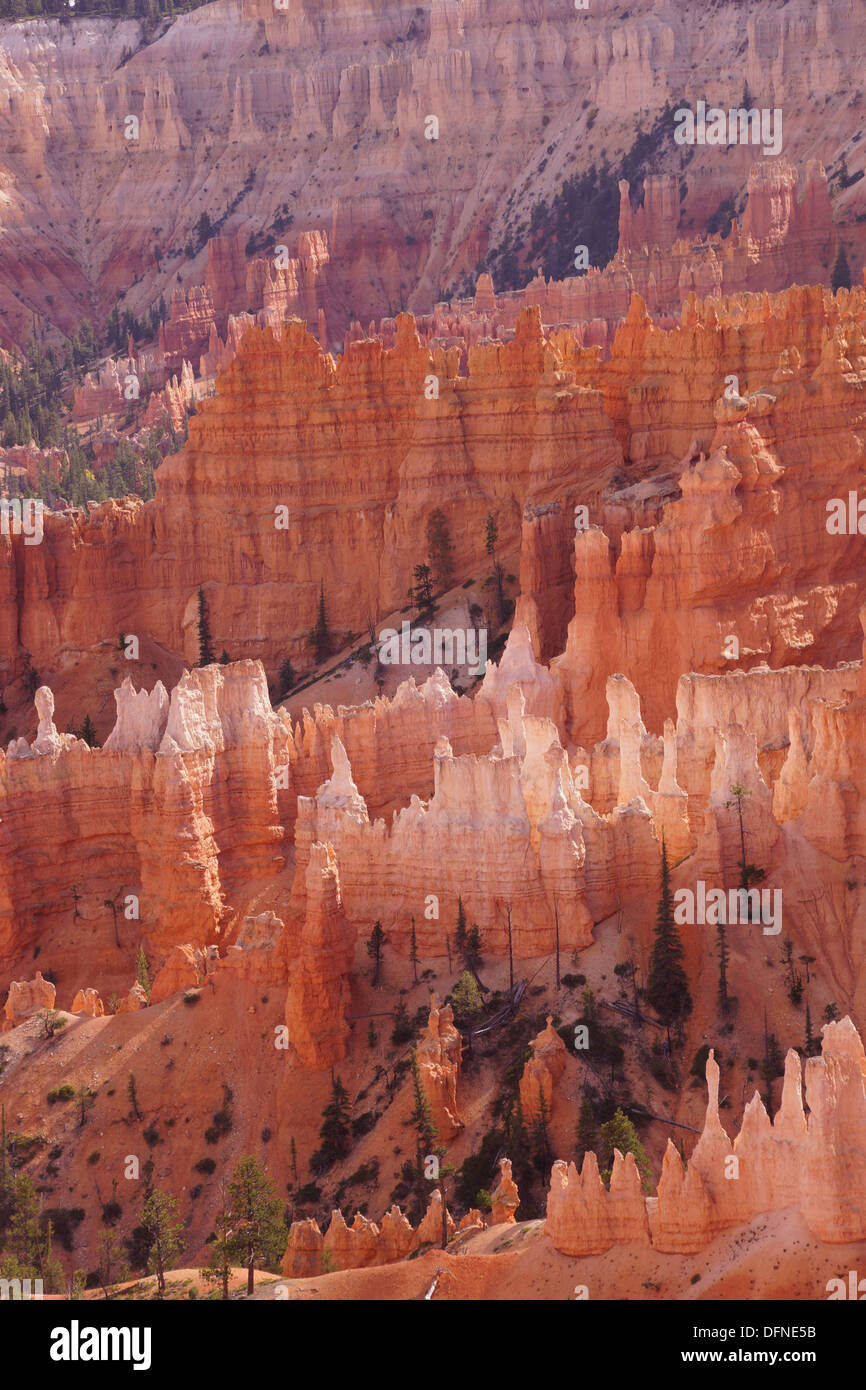 Delicate sandstone pinnacles in many colors line the canyon of Bryce ...