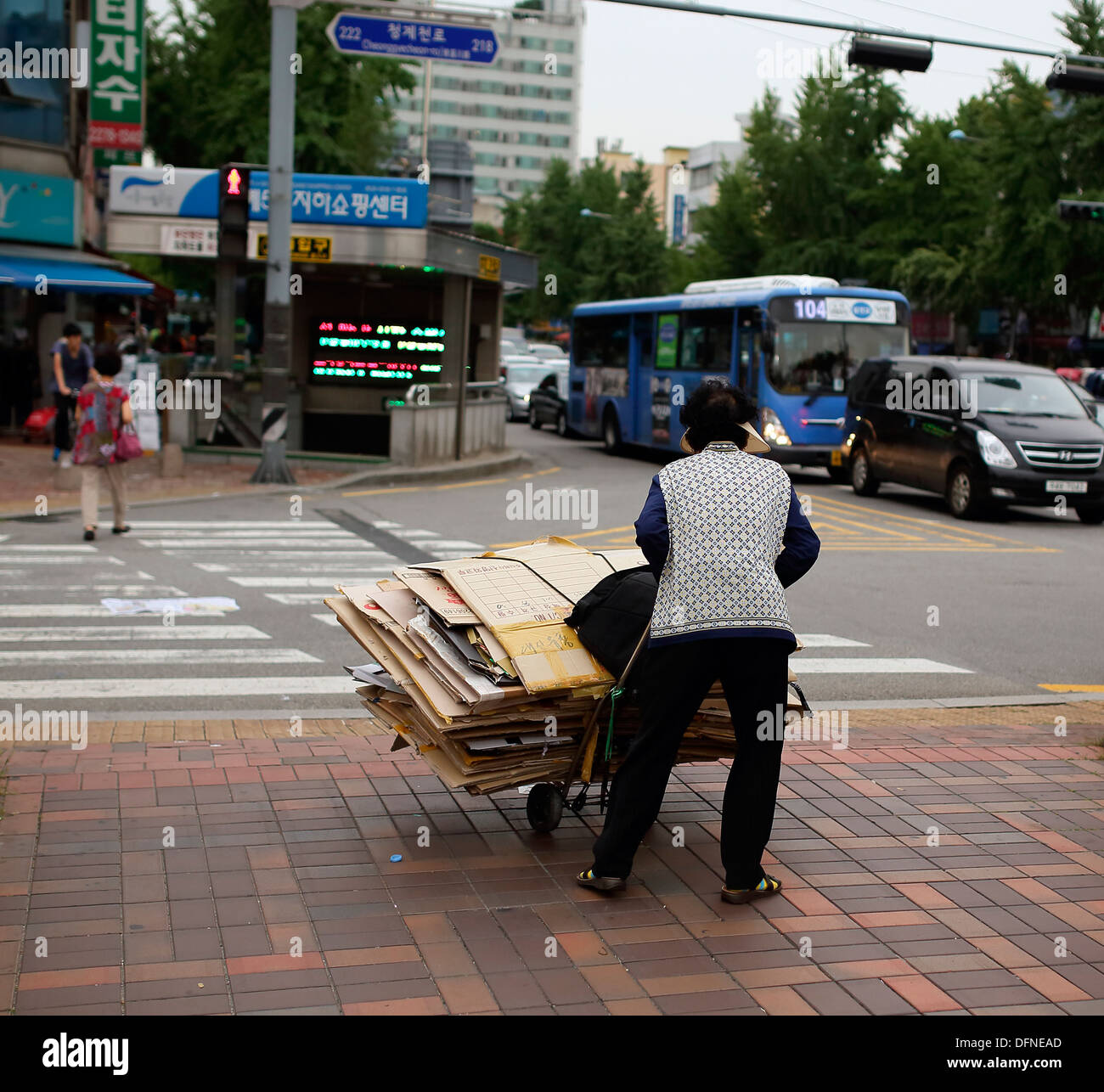 woman collecting cardboard Stock Photo - Alamy