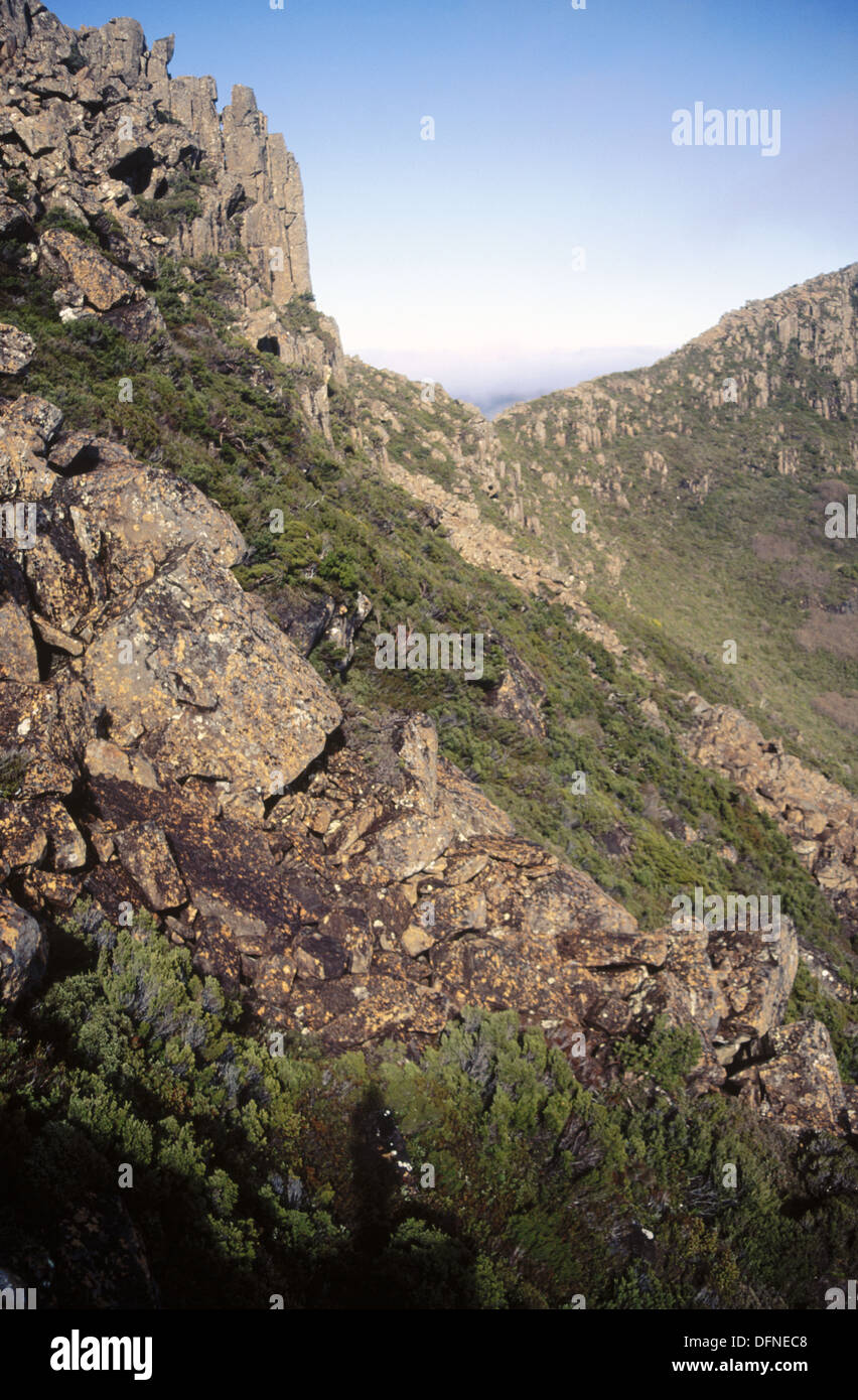 Alpine vegetation tasmania hi-res stock photography and images - Alamy