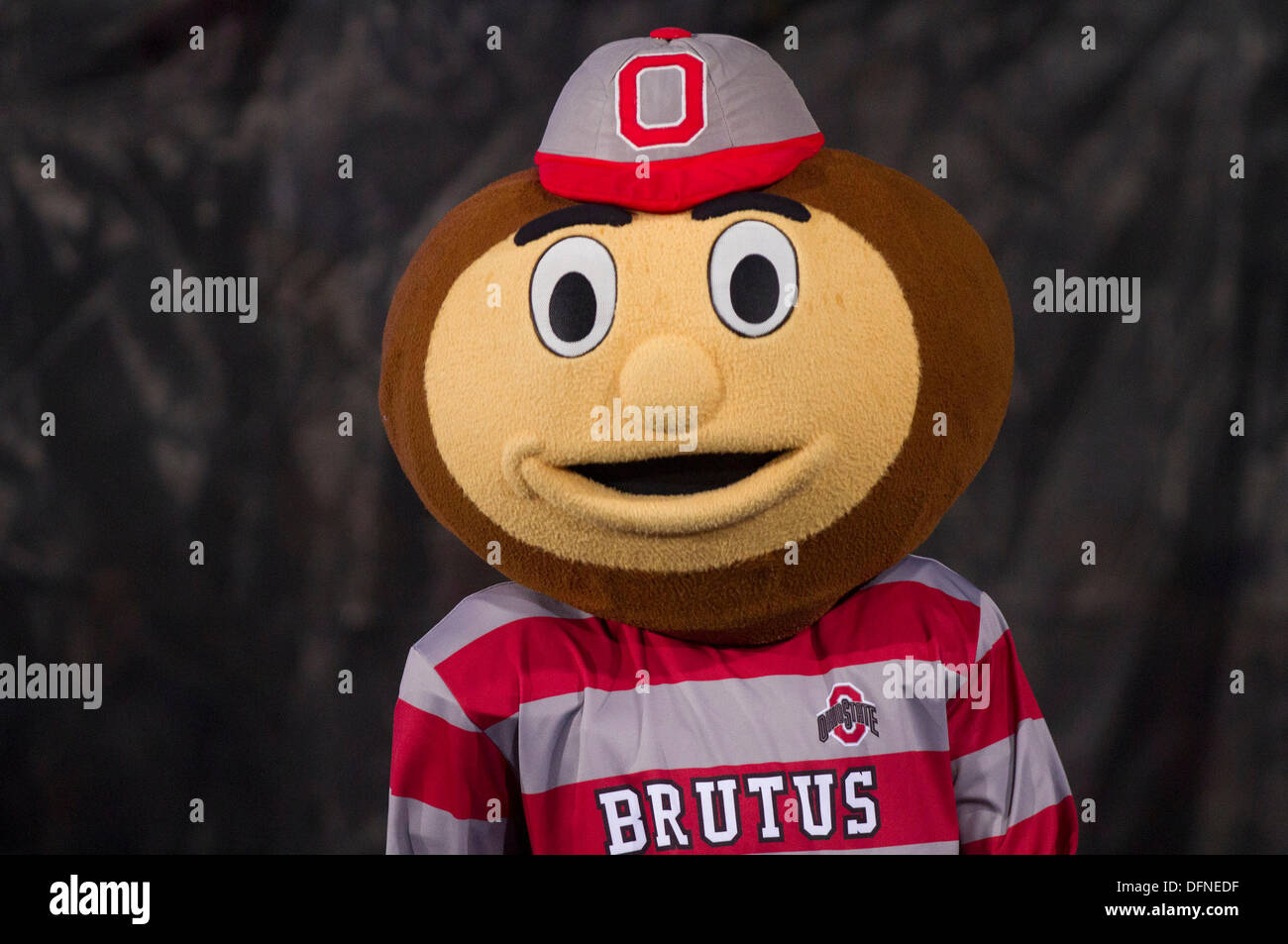 Brutus the buckeye hi-res stock photography and images - Alamy