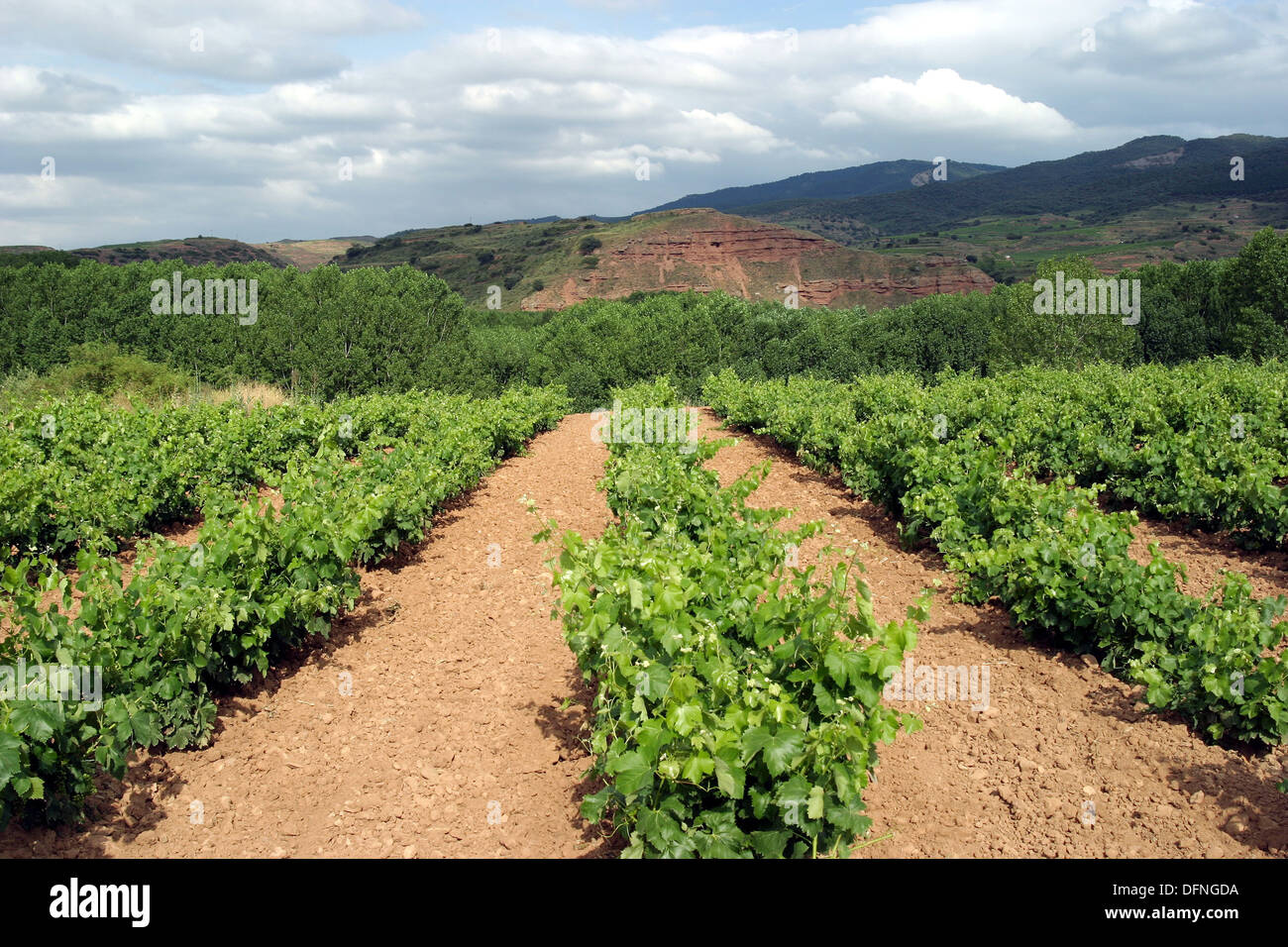 Rural landscape in summer day la rioja hi-res stock photography and ...