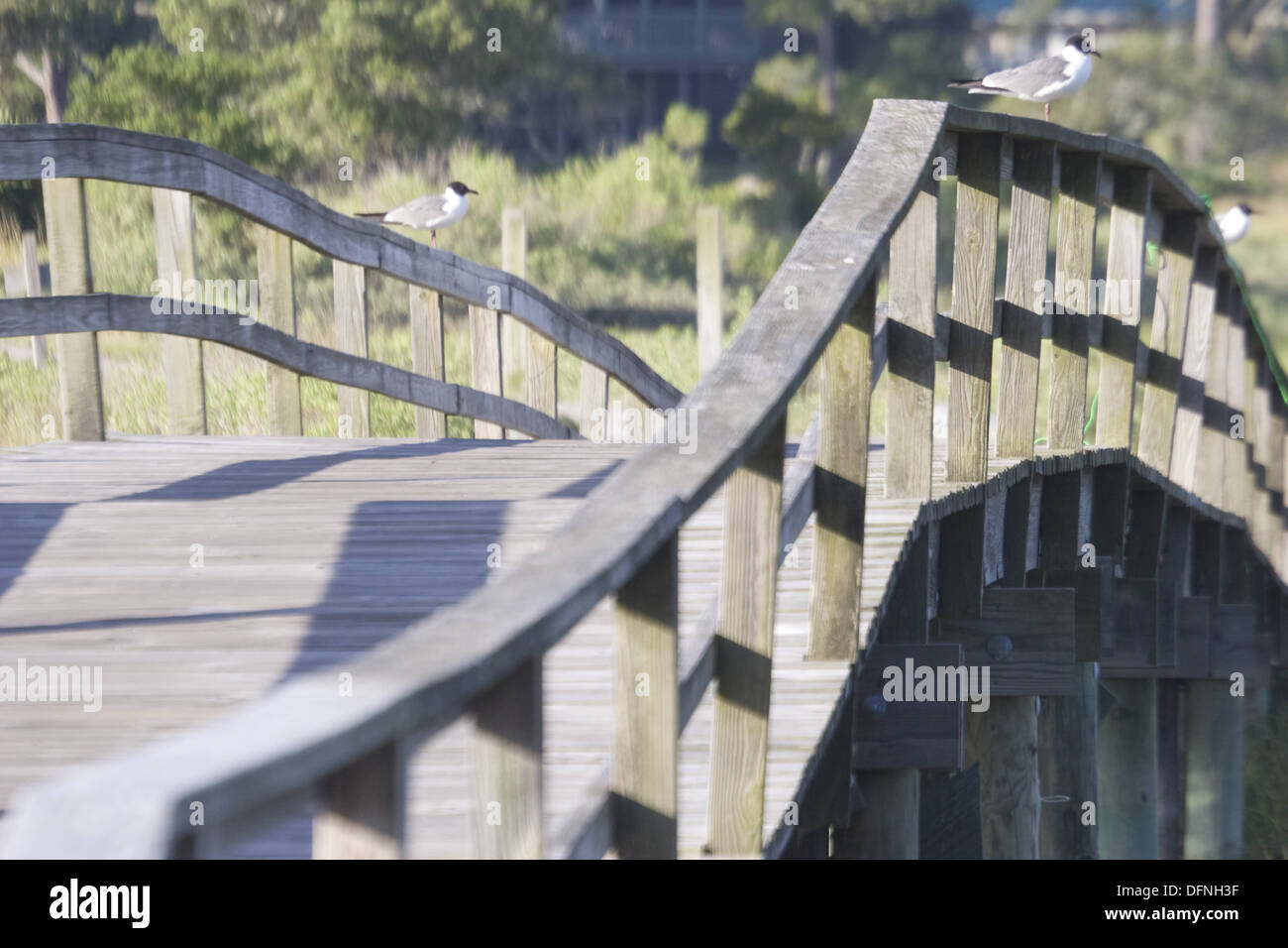 Fripp island bridge hi-res stock photography and images - Alamy