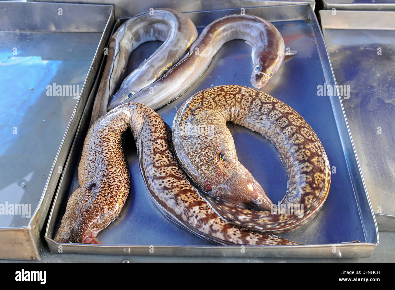 Pescado fresco fresco hi-res stock photography and images - Alamy