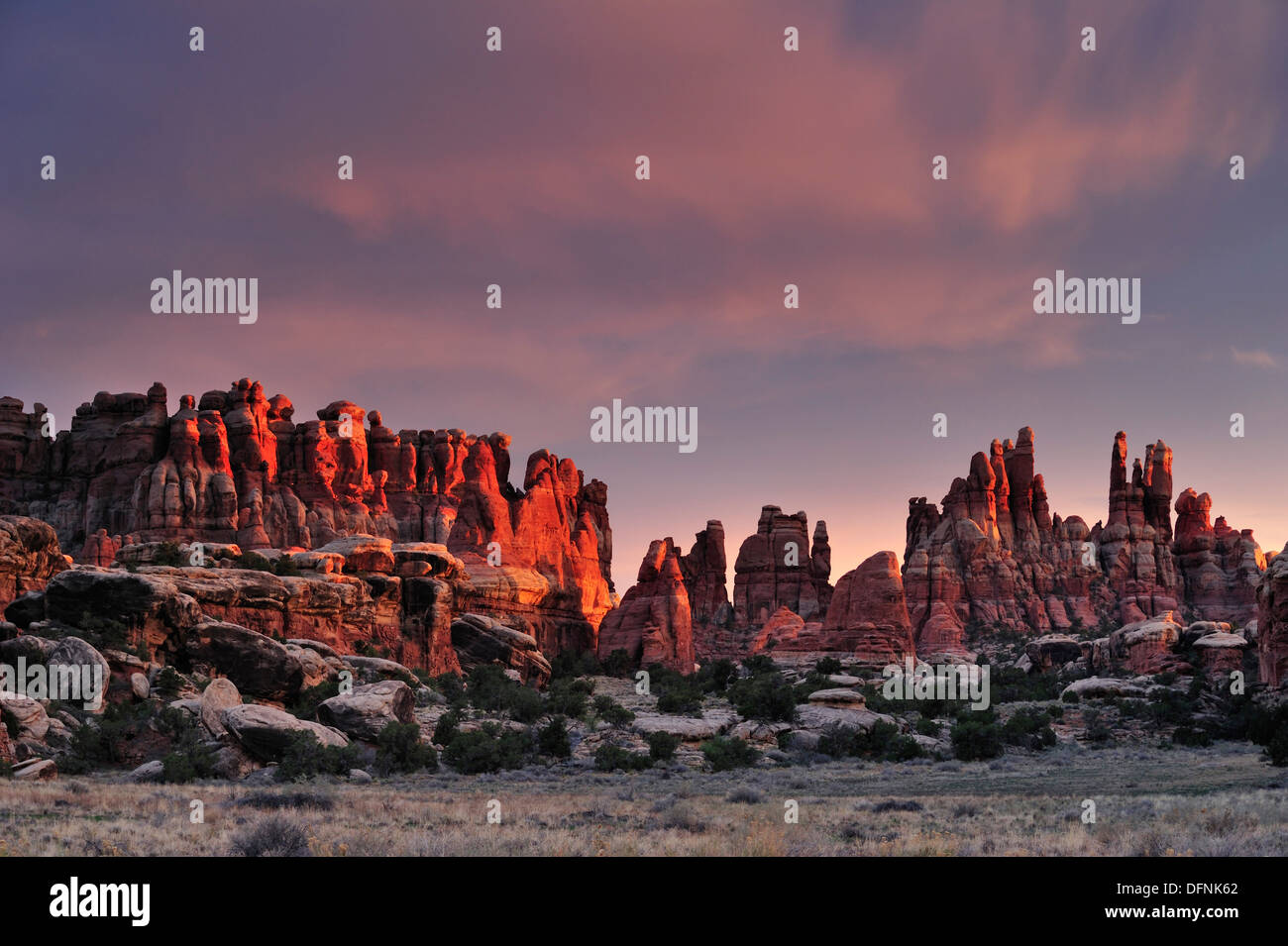Rock spires in Chesler Park in the morning, Needles Area, Canyonlands ...
