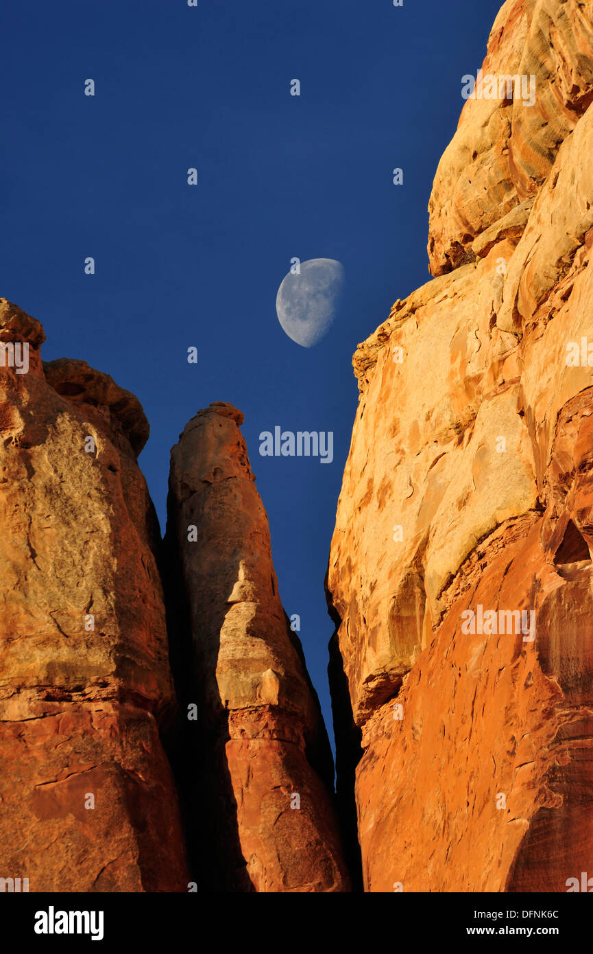 Moon above rock spires in Chesler Park, Needles Area, Canyonlands ...