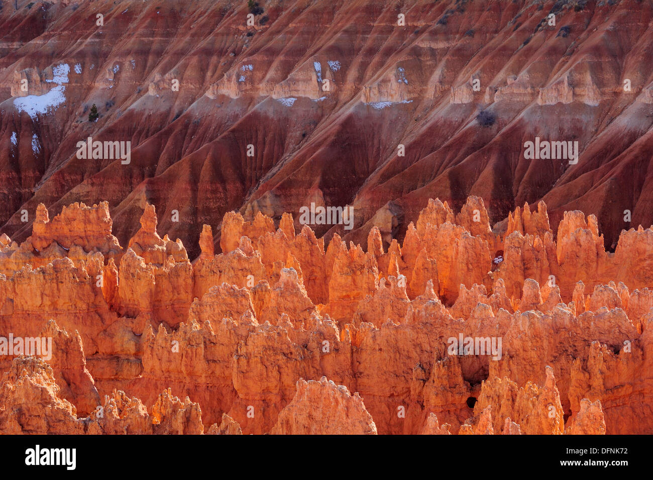 Rock spires in Bryce Canyon, Bryce Canyon National Park, Utah ...