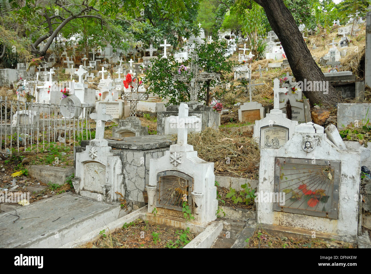 Cemetery guayaquil hi-res stock photography and images - Alamy