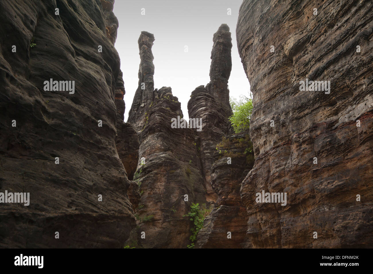 Hercules Towers at Bielatal valley, National Park Saxon Switzerland ...