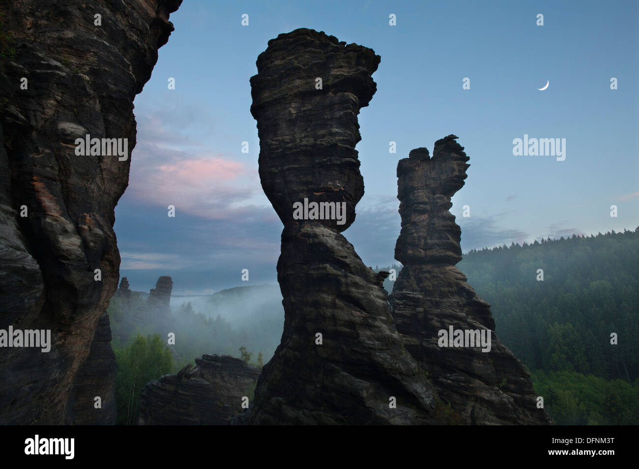 Hercules Towers at Bielatal valley in the morning, National Park Saxon ...