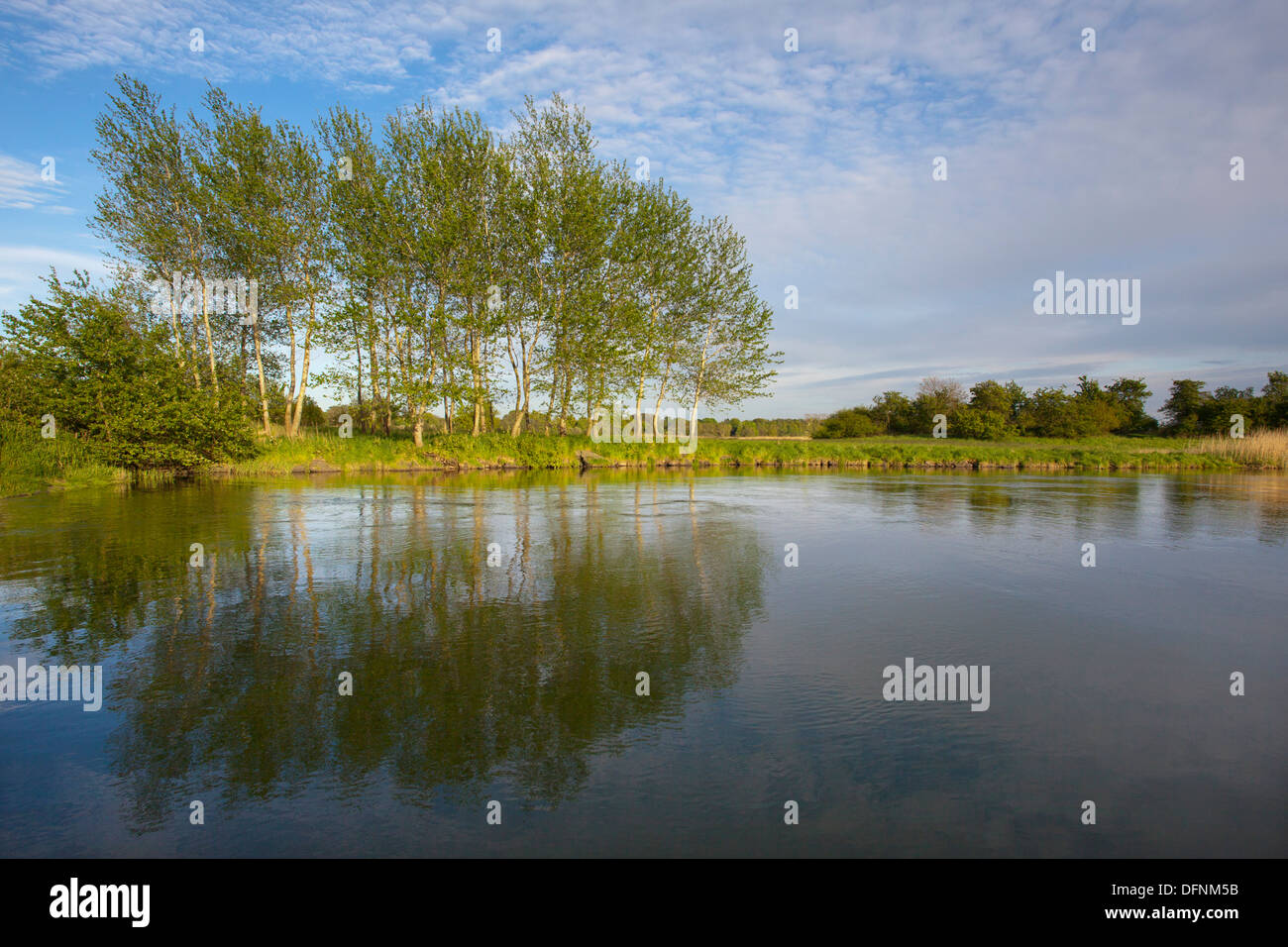Landscape protection area Haddebyer Noor under clouded sky, Schlei ...